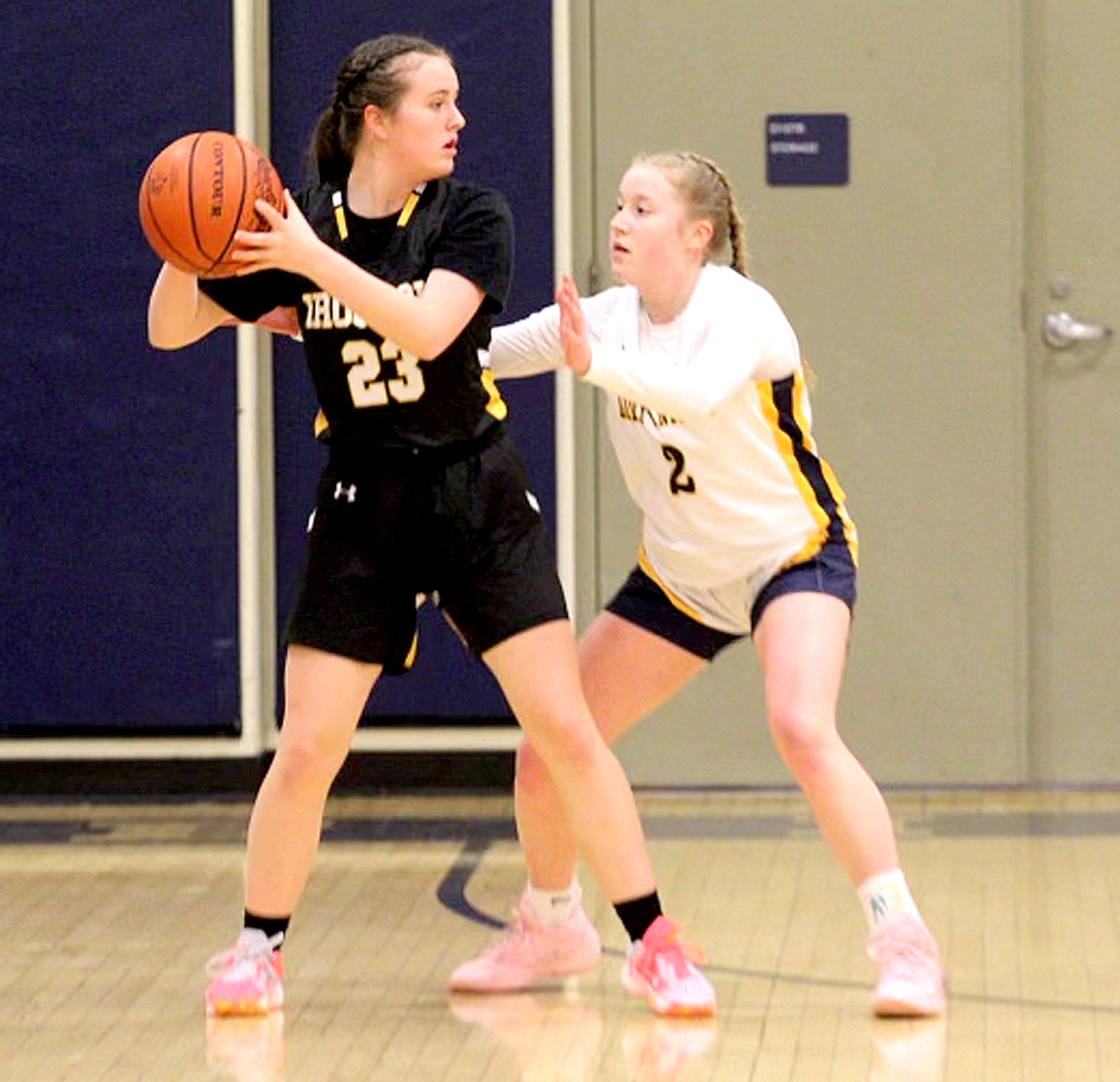 Eisenhower completes sweep of Iroquois | News, Sports, Jobs - Times ...
